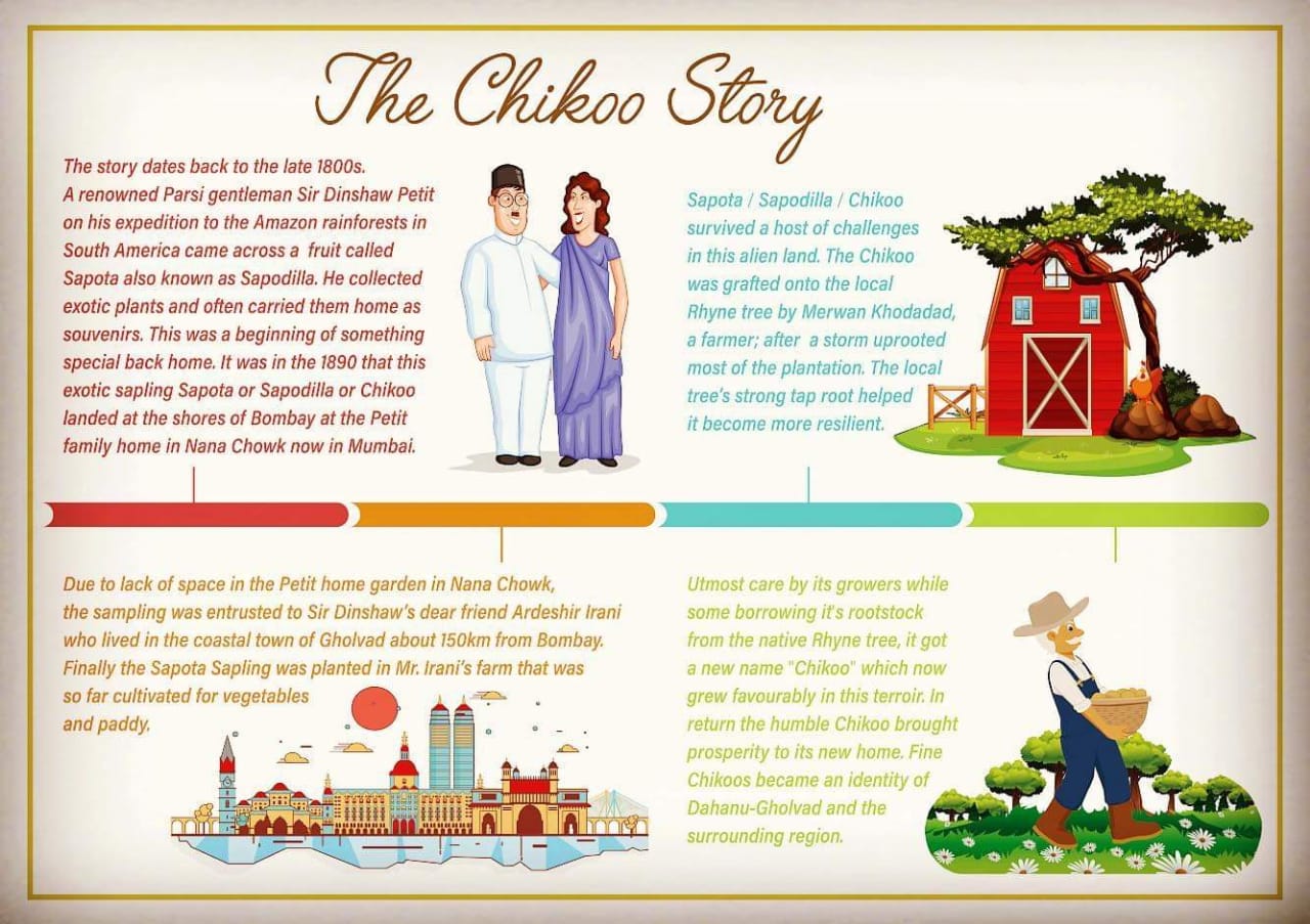 The Chikoo Story - Zoroastrians.net
